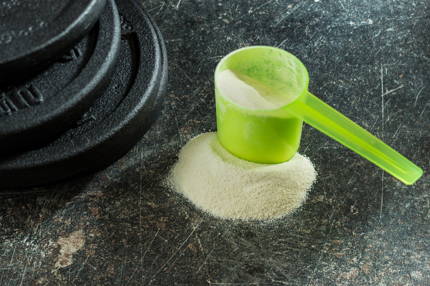 The Ultimate Guide to Choosing the Best Protein Powder for Your Needs ...